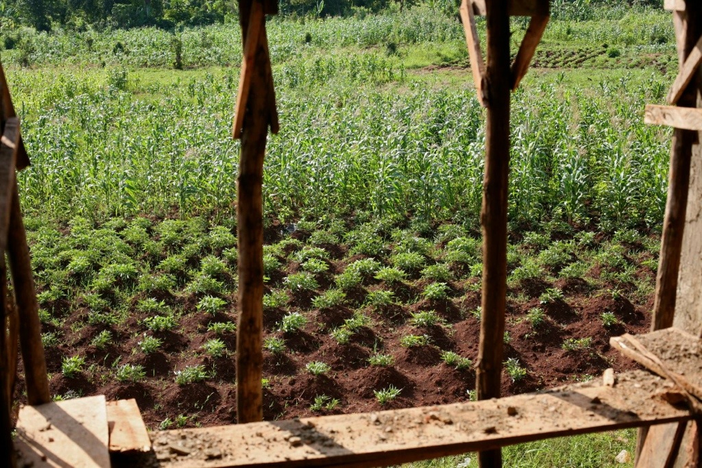 Unblocking my thoughts | .: the babbling dweeb